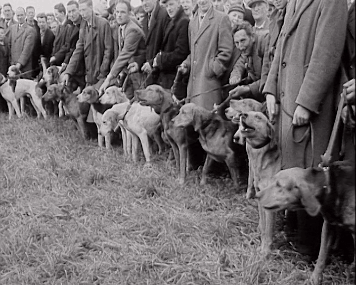 Drag Hunt at Clogheen / Fiach Loirg sa Chloichín - IFI Archive Player
